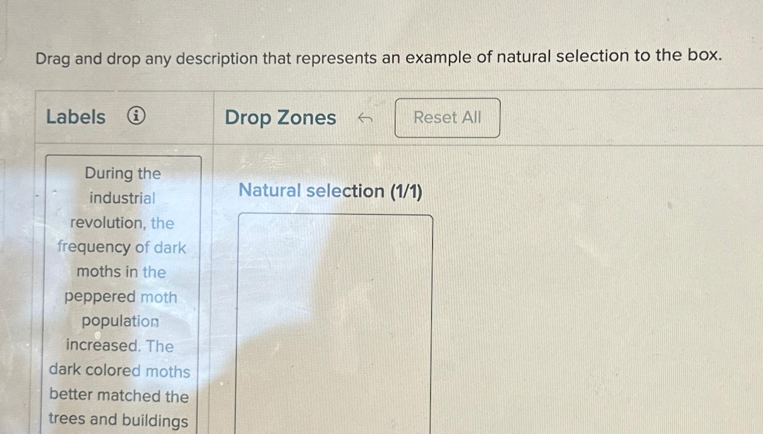 Solved Drag and drop any description that represents an | Chegg.com