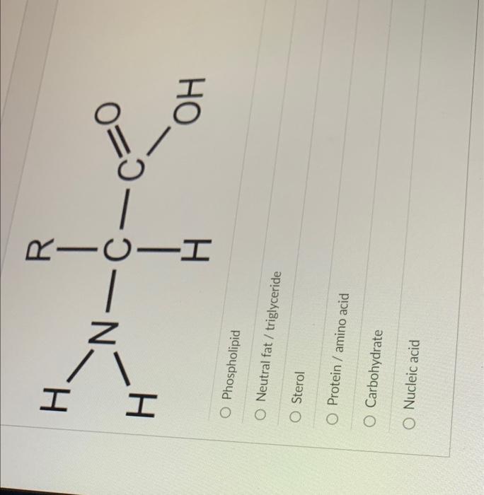 Solved Phospholipid Neutral fat / triglyceride Sterol | Chegg.com
