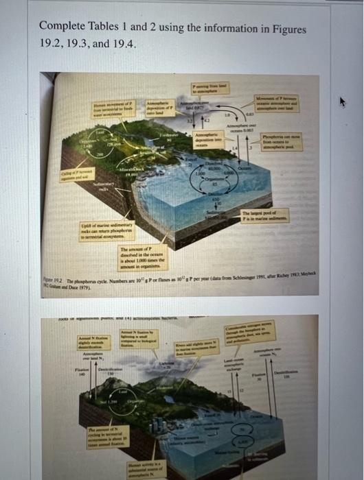 Complete Tables 1 and 2 using the information in | Chegg.com