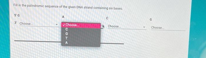 Solved Fill in the palindromic sequence of the given DNA | Chegg.com