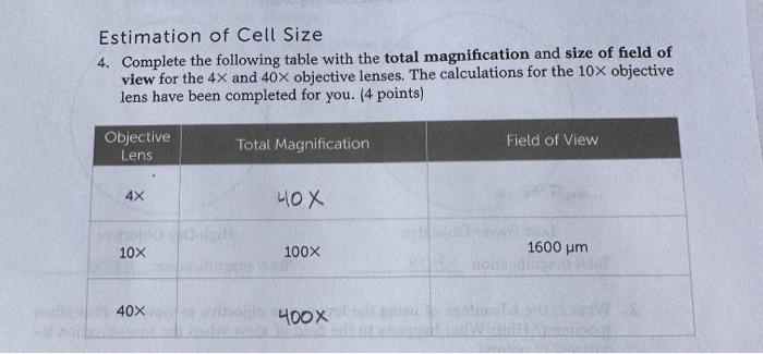Solved Estimation of Cell Size 4. Complete the following | Chegg.com