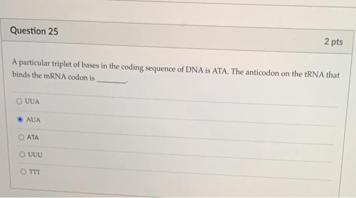Solved Question 25 2 pts A particular triplet of bases in | Chegg.com