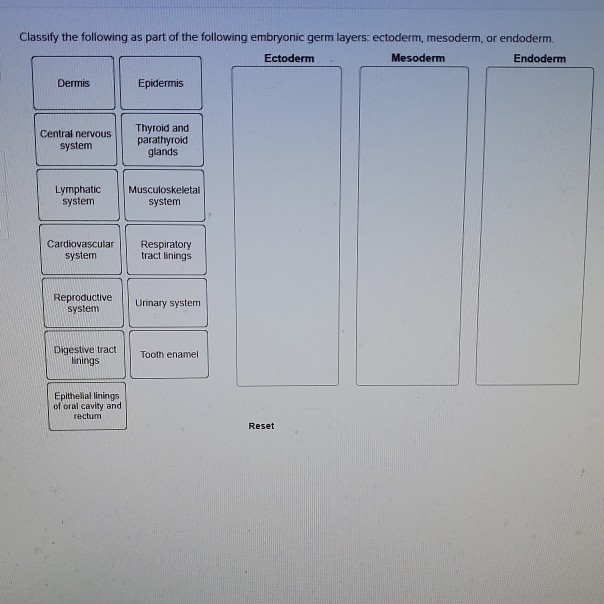 Solved Classify the following as part of the following | Chegg.com