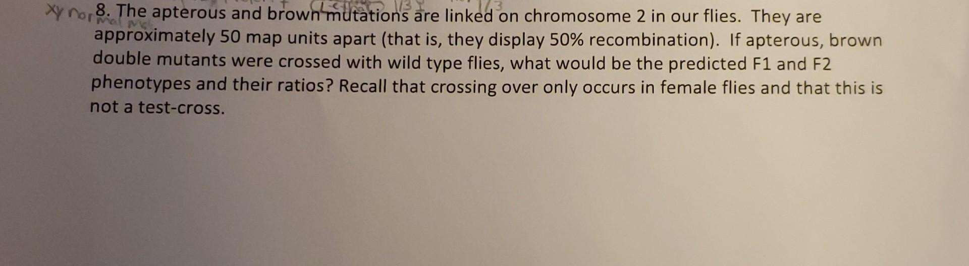 Solved y normal 8. The apterous and brown mutations are | Chegg.com