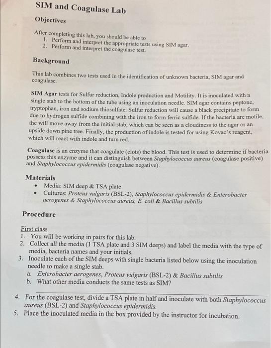 Solved SIM and Coagulase Lab Objectives After completing | Chegg.com