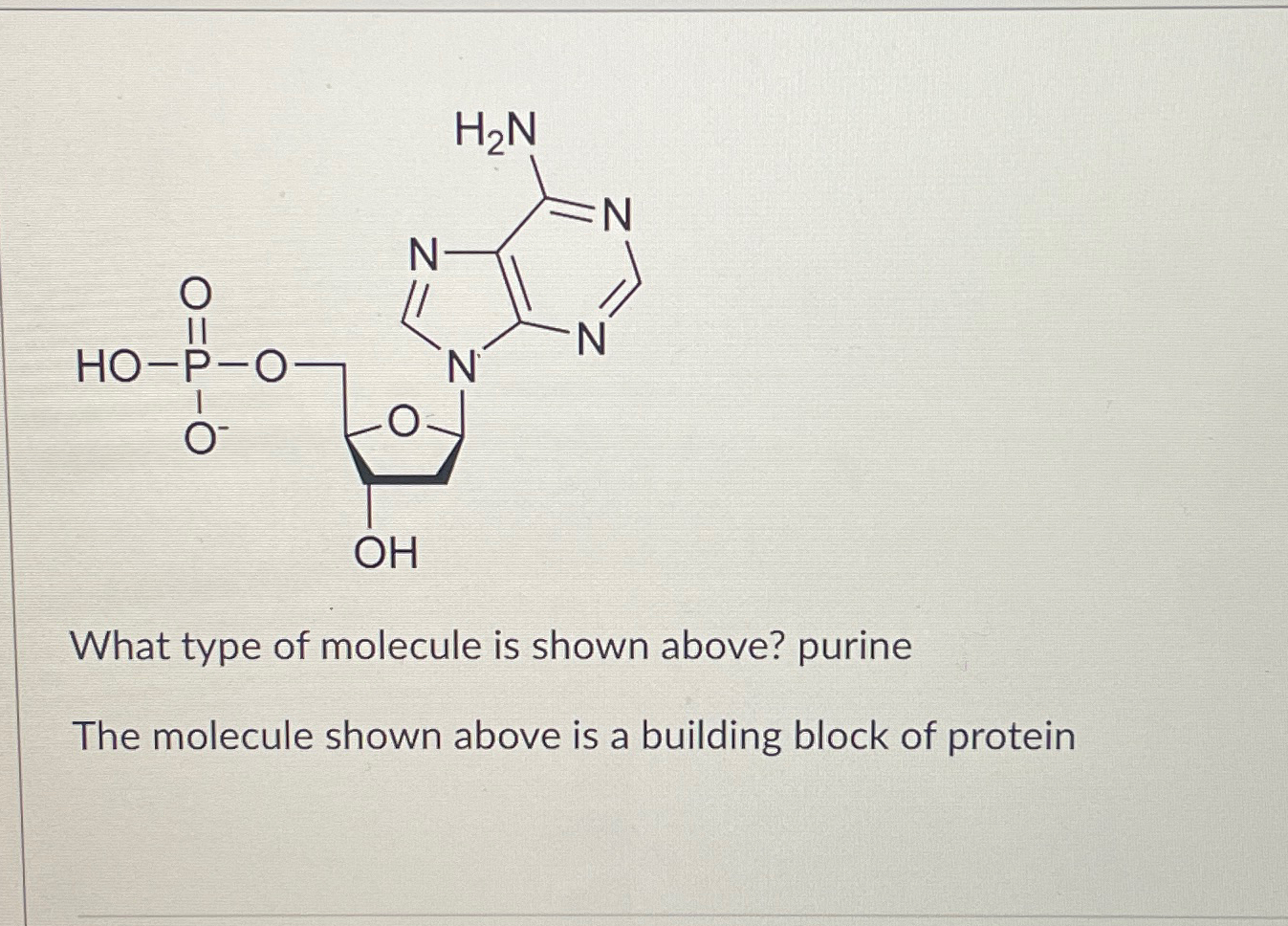 Solved What type of molecule is shown above? purine The | Chegg.com