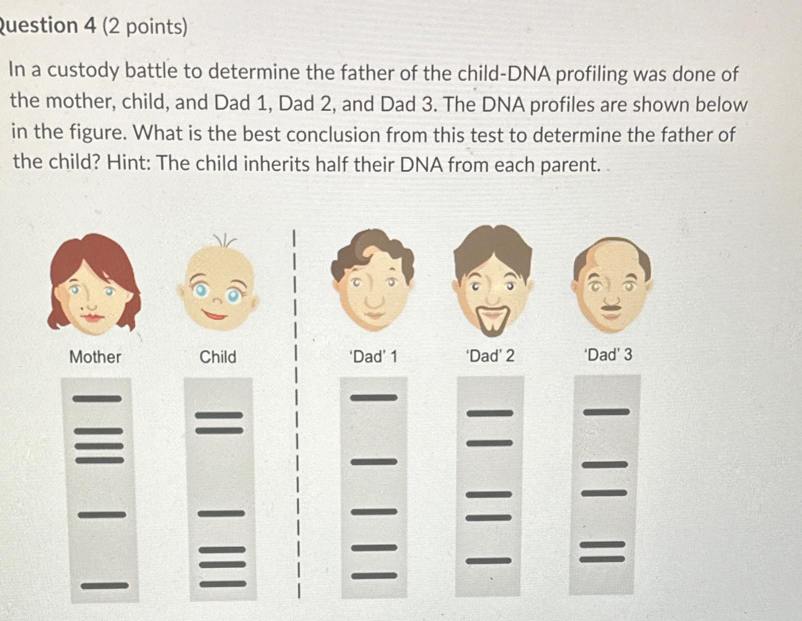 Solved Question 4 ( 2 ﻿points)In a custody battle to | Chegg.com