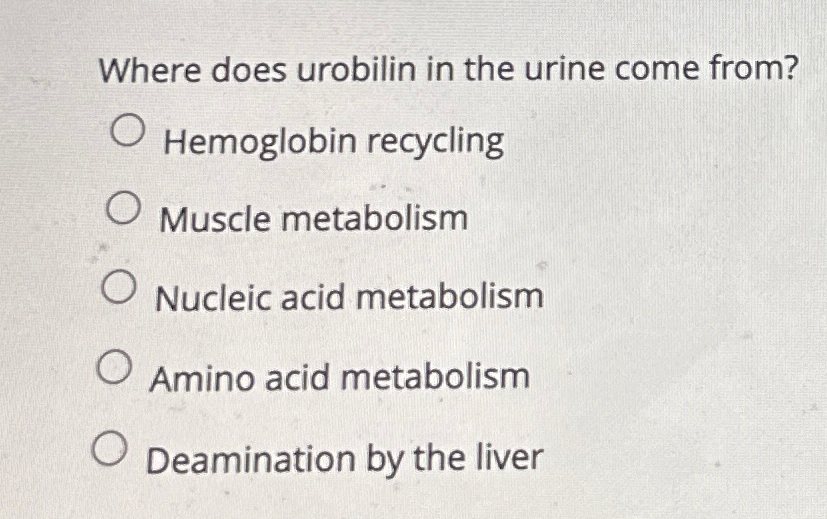 Solved Where does urobilin in the urine come from?Hemoglobin | Chegg.com
