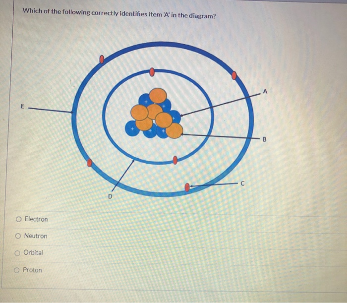 Solved Which of the following correctly identifies item 'A' | Chegg.com