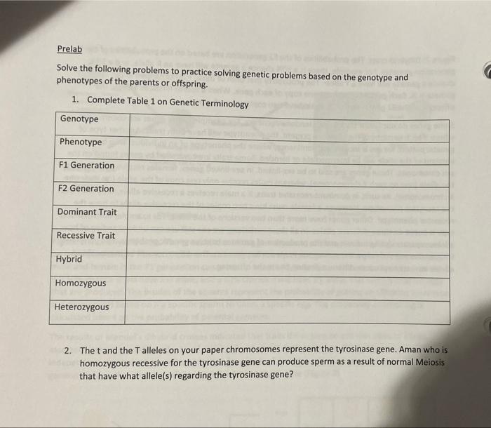 Solved Prelab Solve the following problems to practice | Chegg.com