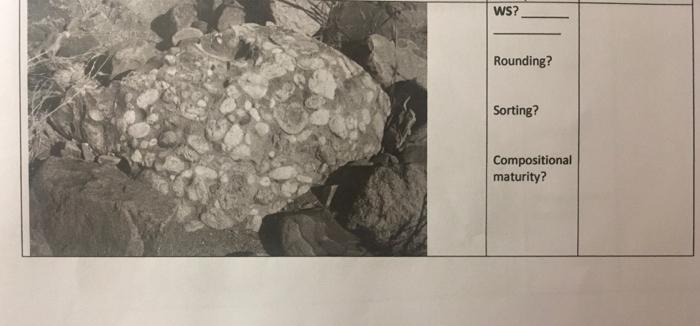 Solved SaNin WS? Rounding? Sorting? Compositional maturity? | Chegg.com