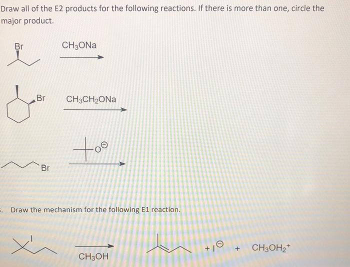 Solved Draw all of the E2 products for the following | Chegg.com