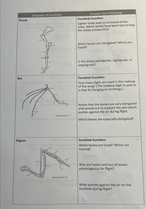 Solved Diasram of Forelimb Human Mole Cat Answer the | Chegg.com