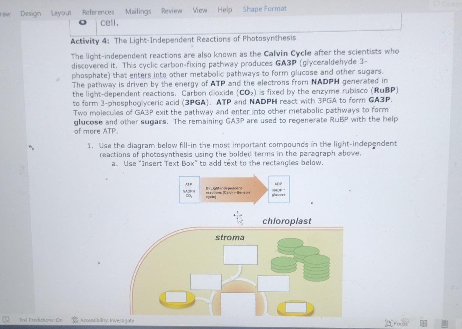 Solved Activity 4: The Light-Independent Reactions of | Chegg.com