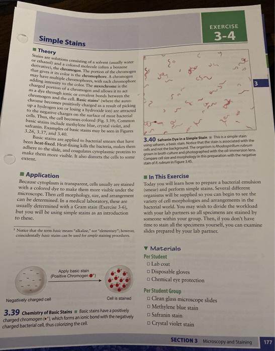 Solved Part III. The stains we will be working with in lab | Chegg.com