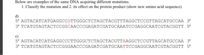 Solved Below are examples of the same DNA acquiring | Chegg.com