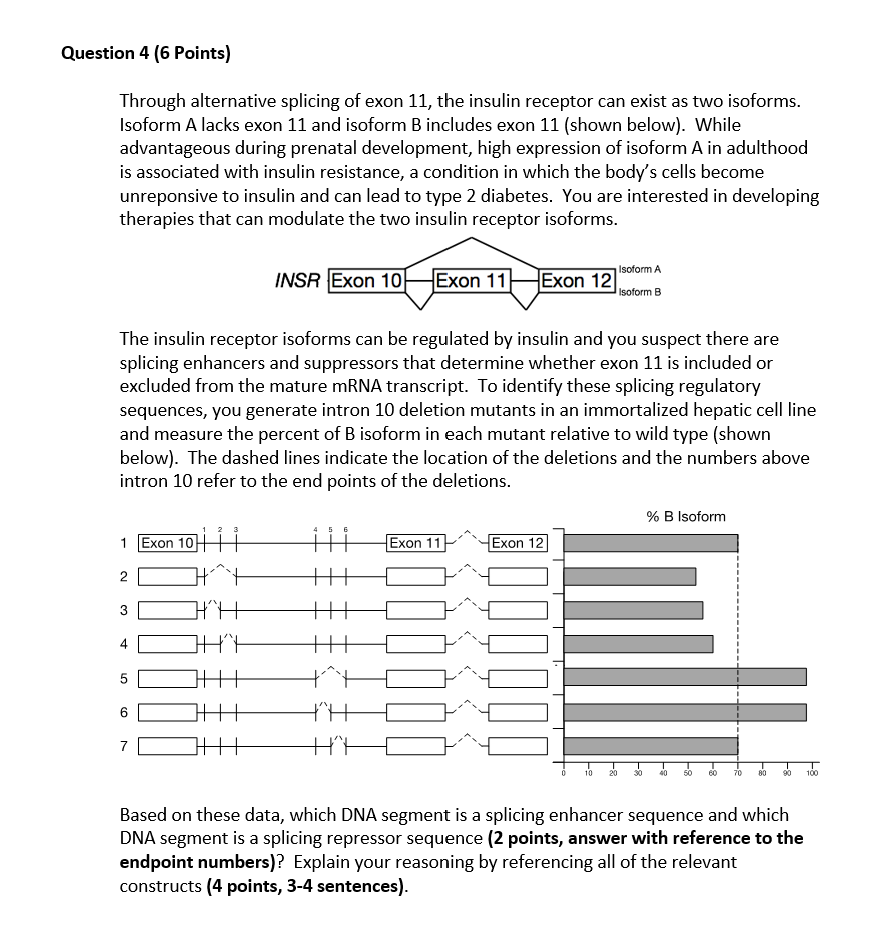 Solved Question 4 (6 ﻿Points) ﻿Through alternative splicing | Chegg.com