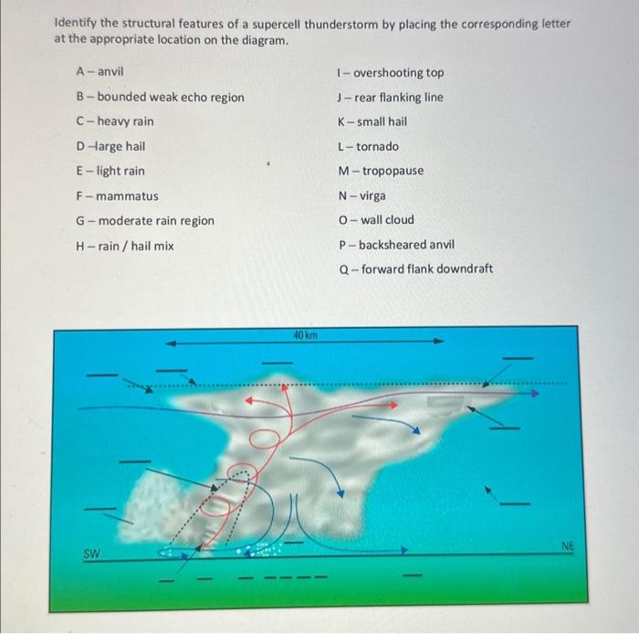Solved Identify the structural features of a supercell | Chegg.com