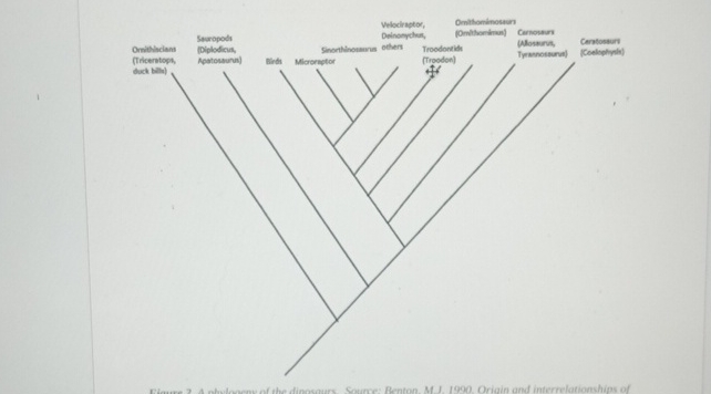 Solved Monophyletic group on tree | Chegg.com Solved Monophyletic group on tree | Chegg.com
