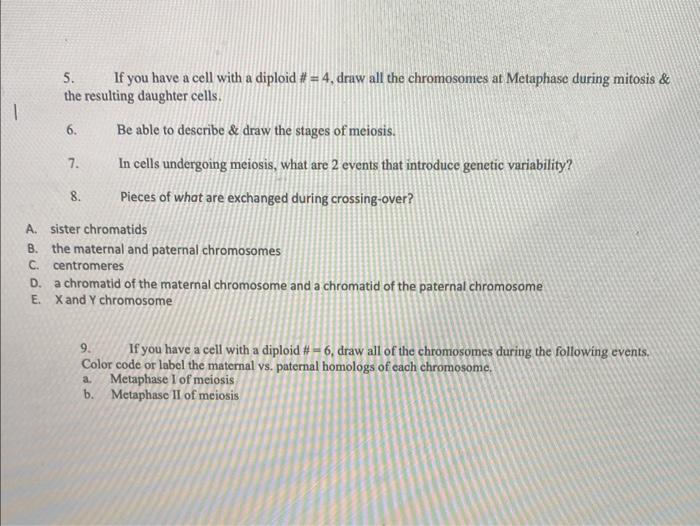 Solved 5. If you have a cell with a diploid #=4, draw all | Chegg.com
