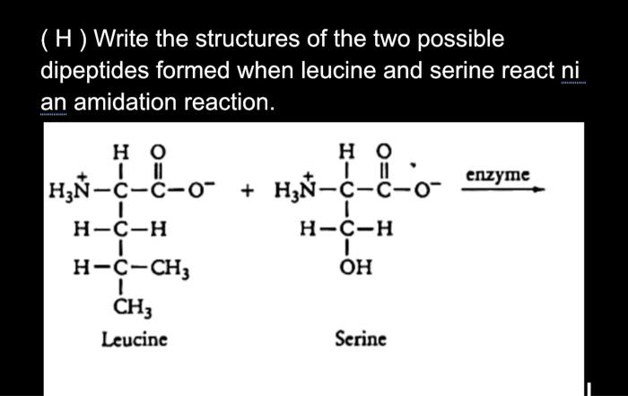 Solved (H) Write the structures of the two possible | Chegg.com