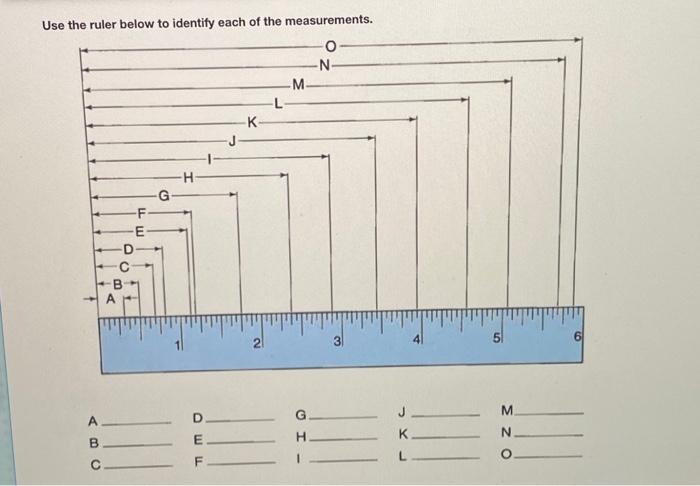 Solved Use the ruler below to identify each of the | Chegg.com