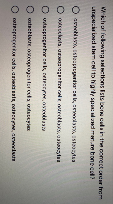 Solved Which of following selections lists bone cells in the | Chegg.com