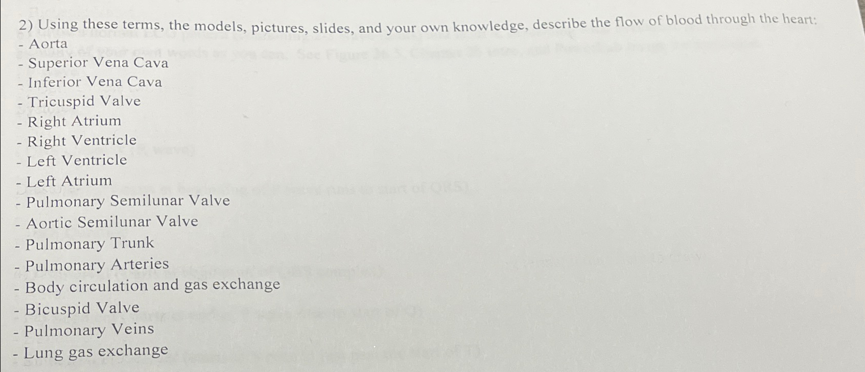 Solved Using these terms, the models, pictures, slides, and | Chegg.com