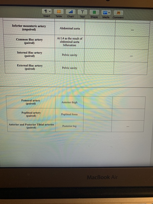 Solved Media Comment Insert Table Chart Text Shape Using the | Chegg.com