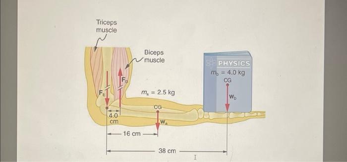 Solved - For problem 1 (formal solution), write a neat, | Chegg.com