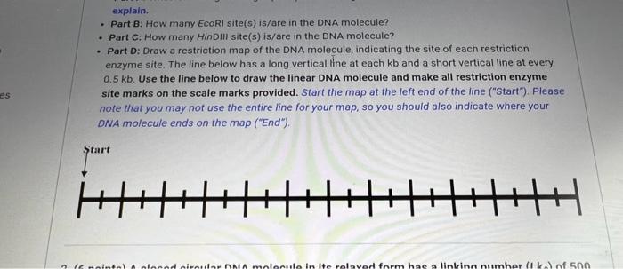 Solved 2. ( 8 points) A linear piece of DNA is digested with | Chegg.com