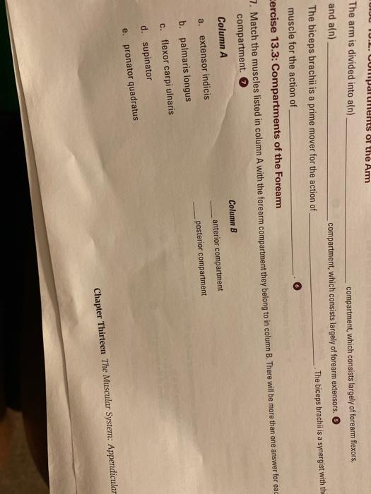 Assignment Help Save & Exit Submit Check my work B | Chegg.com