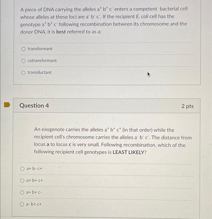 Solved A piece of DNA carrying the alleles at b c enters a | Chegg.com
