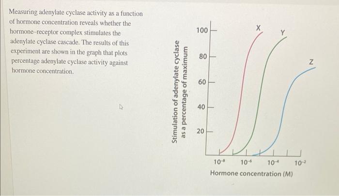 Solved 100 Х Y N 80 1 The graph shows the hormone-binding | Chegg.com