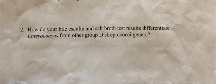 Solved 2. How do your bile esculin and salt broth test | Chegg.com