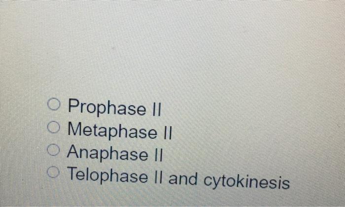 Solved Identify this phase of Meiosis II 3 8 Prophase 11 | Chegg.com