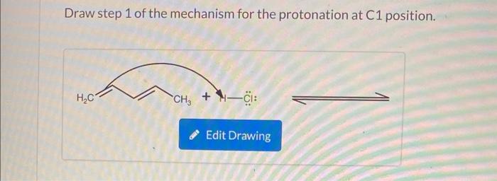 Solved Draw step 1 of the mechanism for the protonation at | Chegg.com