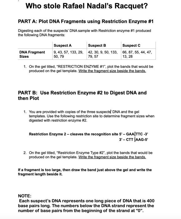 Solved Suspect C - Novak Djokovic 5' | Chegg.com