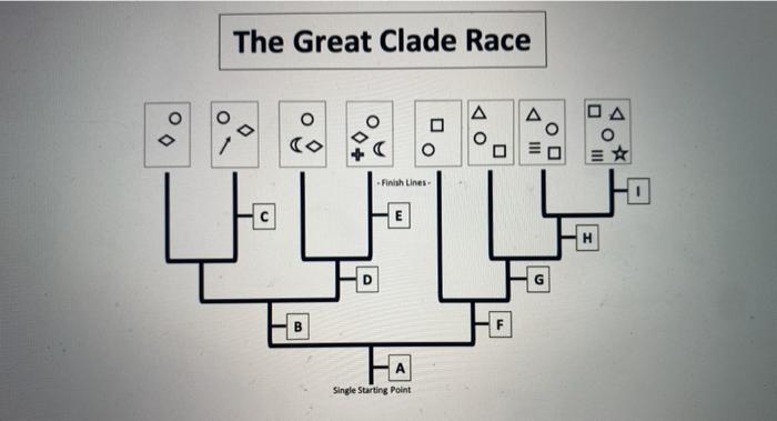 Solved Question 7 0.2 /0.5 pts Great Clade Race as Analogy | Chegg.com