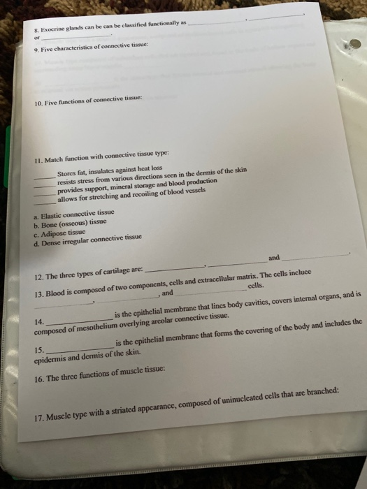 Solved Chapter 4: Tissues 1. The four basic tissue types | Chegg.com