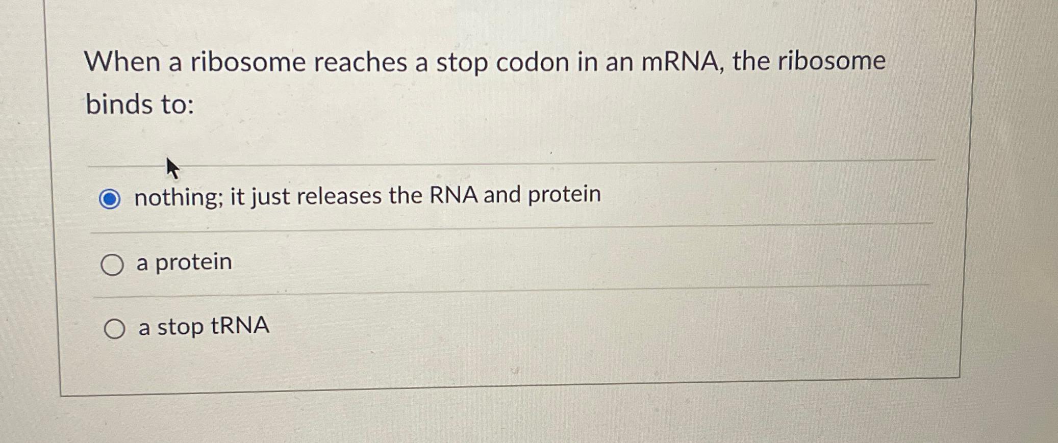 Solved When a ribosome reaches a stop codon in an mRNA, the | Chegg.com
