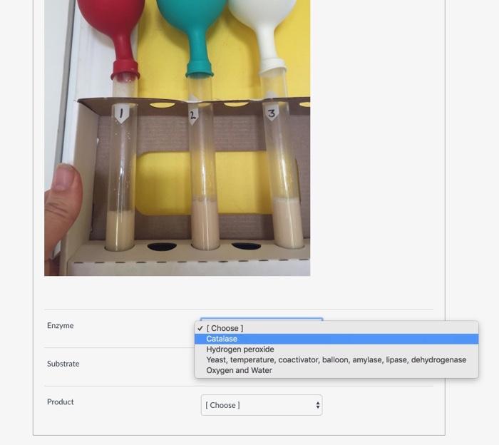Solved 1 3 Enzyme [Choose] Catalase Hydrogen peroxide Yeast, | Chegg.com