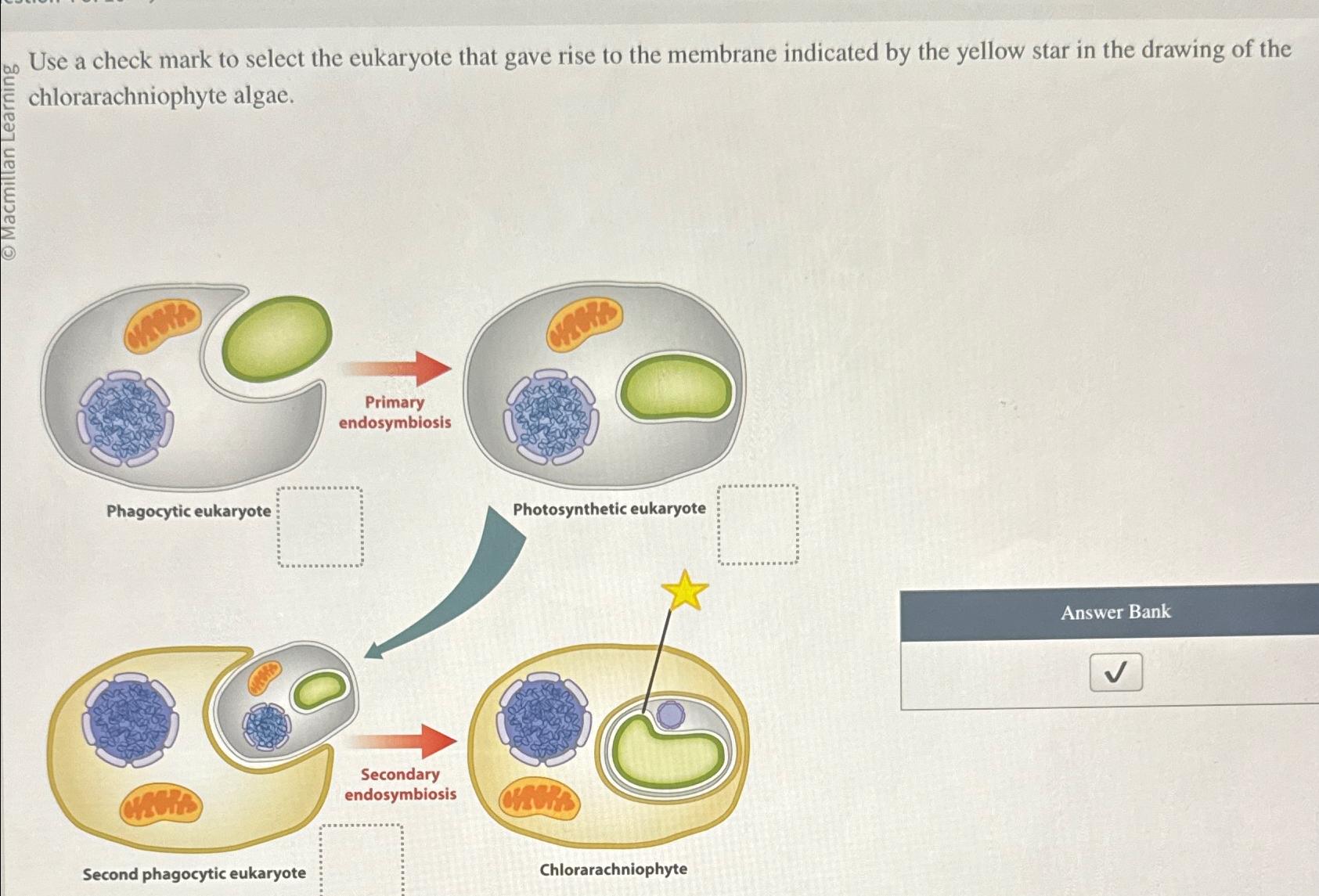 Solved Use a check mark to select the eukaryote that gave | Chegg.com