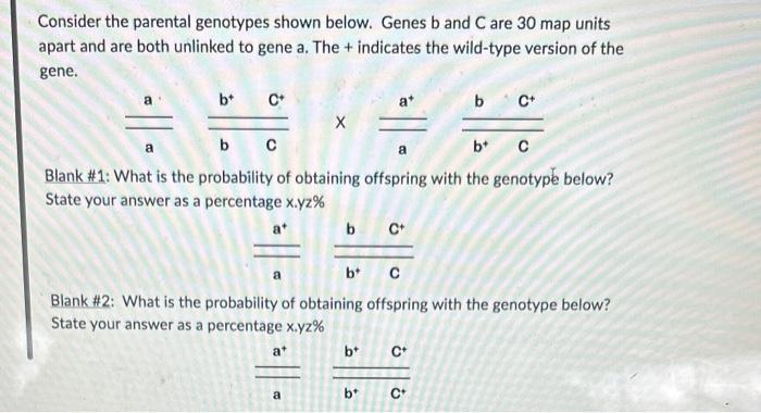 Solved Consider the parental genotypes shown below. Genes b | Chegg.com