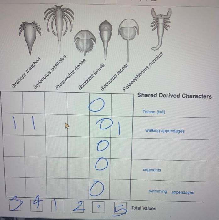Solved construct a cladogram and a table that showes the | Chegg.com