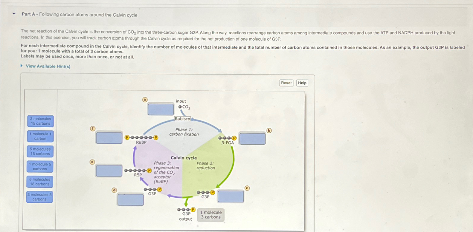 Solved Part A - ﻿Following carbon atoms around the Calvin | Chegg.com