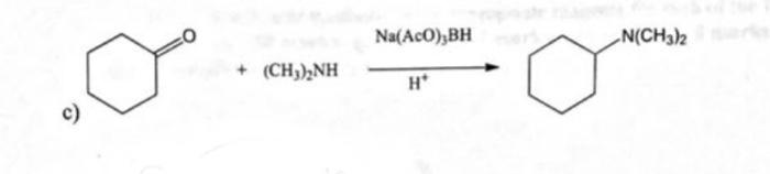 Solved \\( +\\left(\\mathrm{CH}_{3}\\right)_{2} \\mathrm{NH} | Chegg.com