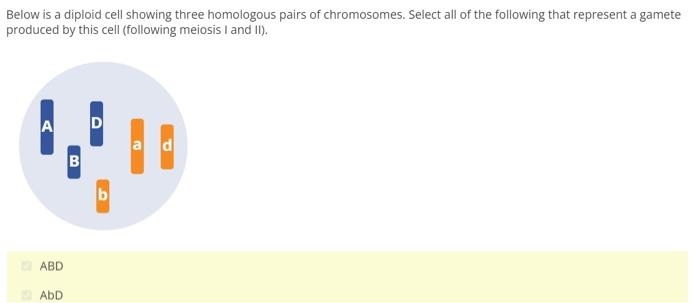 Solved Below is a diploid cell showing three homologous | Chegg.com