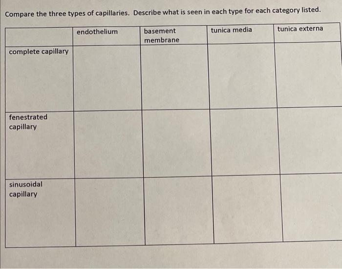 Solved Compare the three types of capillaries. Describe what | Chegg.com