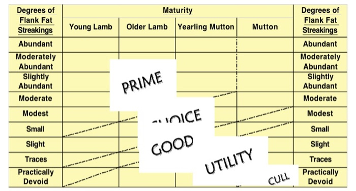Matching: Use the following quality grades for beef | Chegg.com